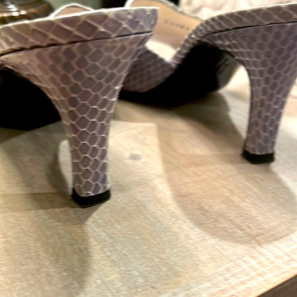 Salvatore Ferragamo | Shoes | Salvatore Ferragamo Ice Blue Snake Skin ...